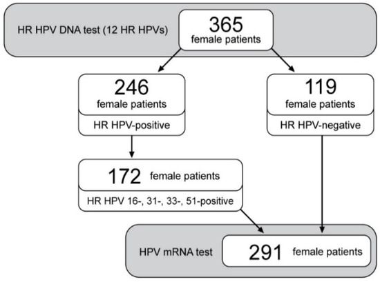E6/E7 mRNA Expression of the Most Prevalent High-Risk HPV Genotypes in Cervical Samples from ...