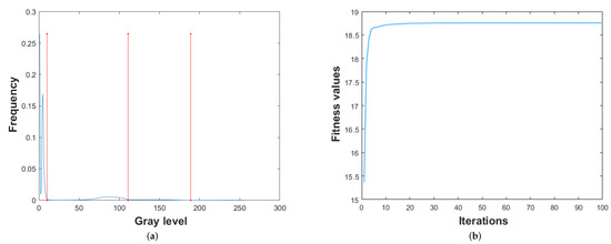 Hybrid Multilevel Thresholding Image Segmentation Approach for Brain MRI