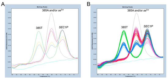Estimation of Lewis Blood Group Status by Fluorescence Melting Curve ...