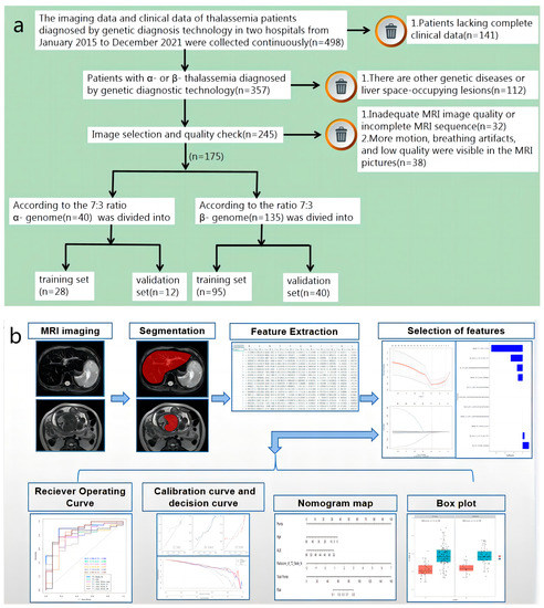 α- and β-Genotyping of Thalassemia Patients Based on a Multimodal Liver ...