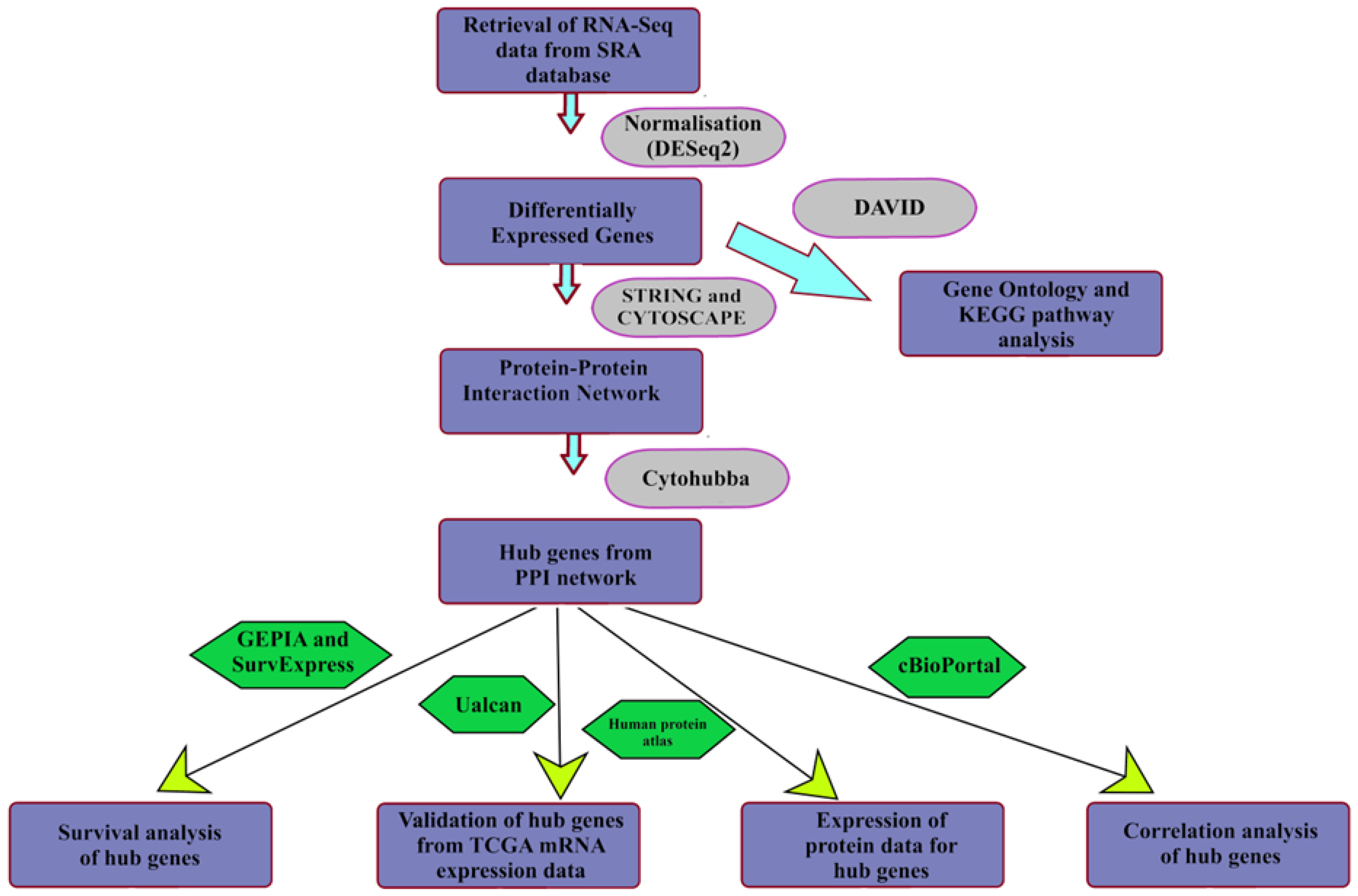 Identification of Prognostic Biomarkers for Suppressing Tumorigenesis and Metastasis of ...