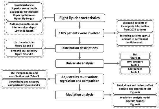 Association of Body Mass Index (BMI) with Lip Morphology ...