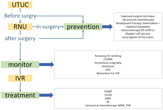 Diagnostics | Free Full-Text | Clinical Characteristics and Current ...