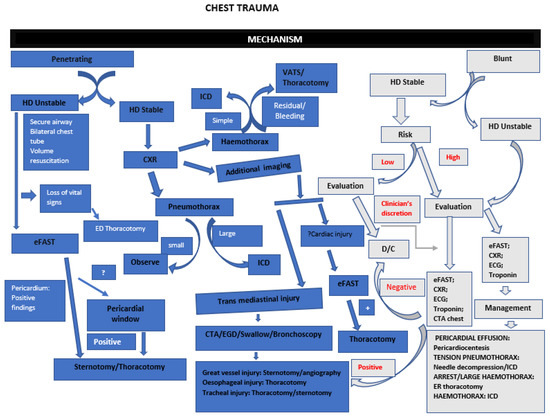 Diagnostic Approaches to Vascular Injury in Polytrauma—A Literature Review