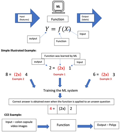 Diagnostics | Free Full-Text | Clinicians’ Guide to Artificial ...