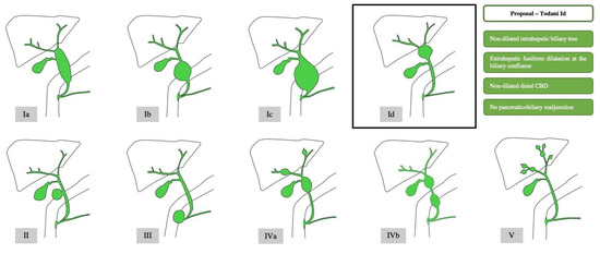 The Curious Case of the Choledochal Cyst—Revisiting the Todani Classification: Case Report and ...