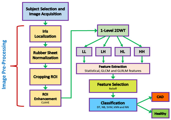 Prediction of Coronary Artery Disease Using Machine Learning Techniques with Iris Analysis