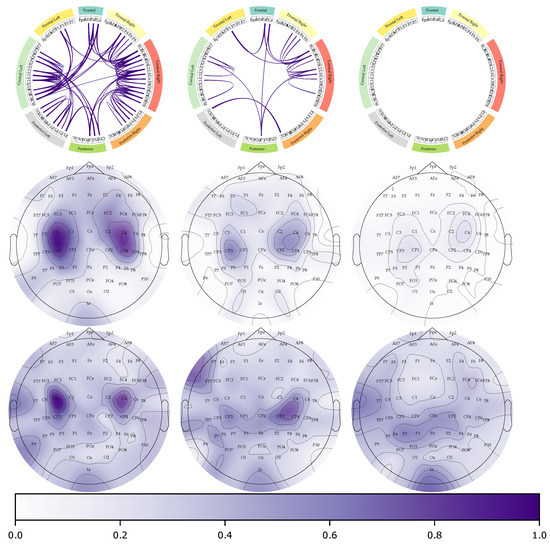 KCS-FCnet: Kernel Cross-Spectral Functional Connectivity Network for ...