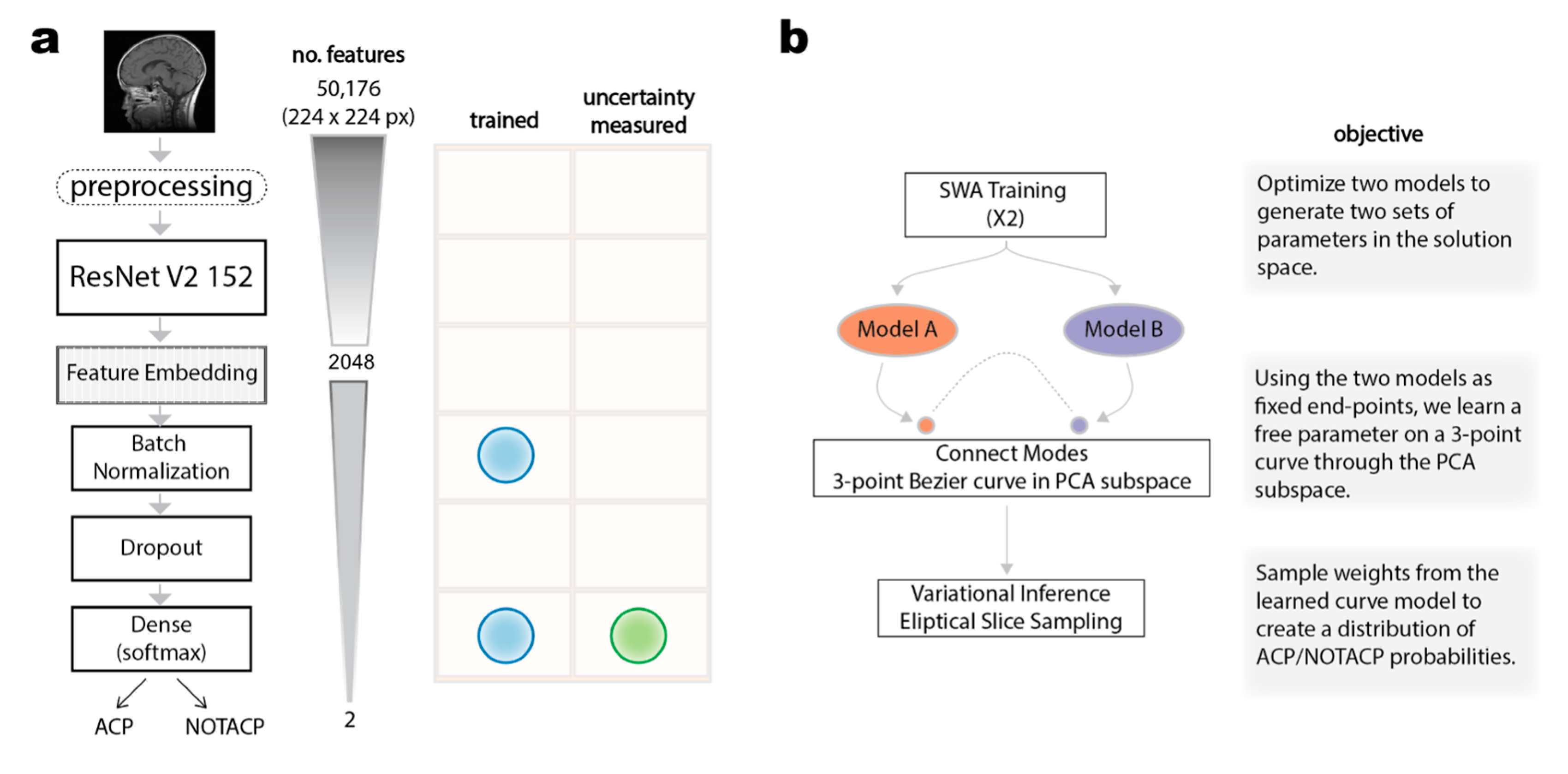 Uncertainty-Aware Deep Learning Classification of Adamantinomatous ...