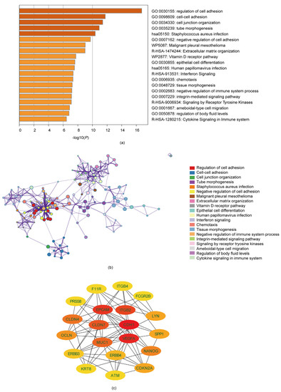 Identifying ITGB2 as a Potential Prognostic Biomarker in Ovarian Cancer