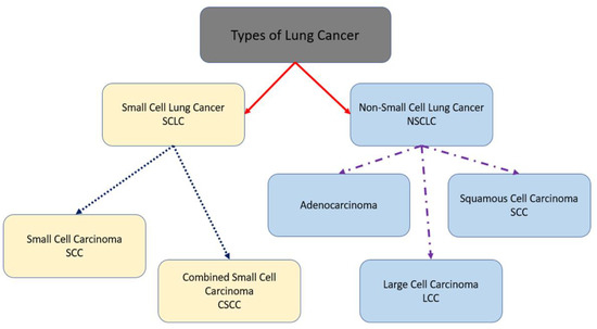 A CAD System for Lung Cancer Detection Using Hybrid Deep Learning Techniques