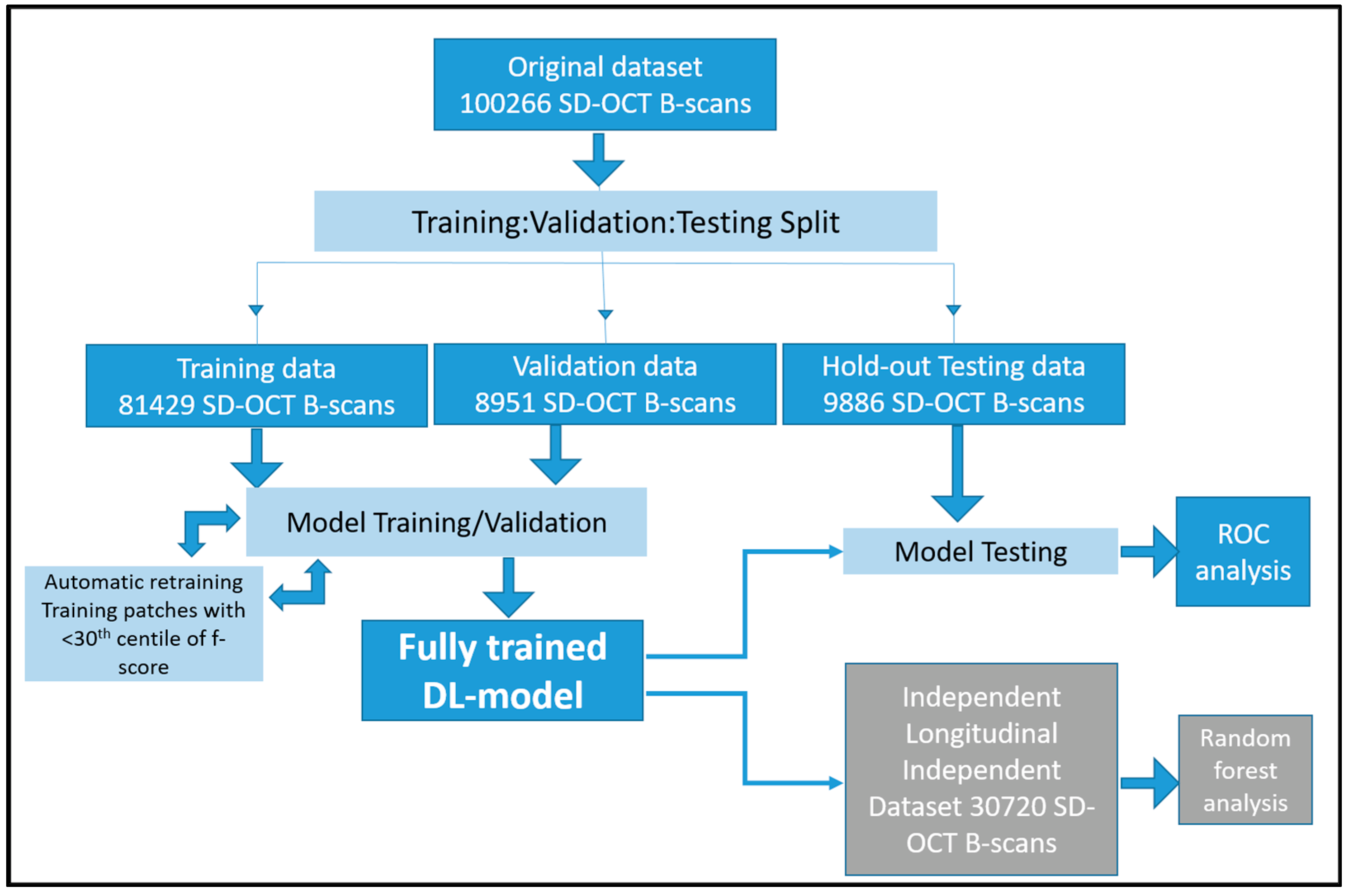 Automated Identification and Segmentation of Ellipsoid Zone At-Risk Using Deep Learning on SD ...