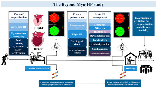 Diagnostics | Free Full-Text | Clinical Value of Novel ...