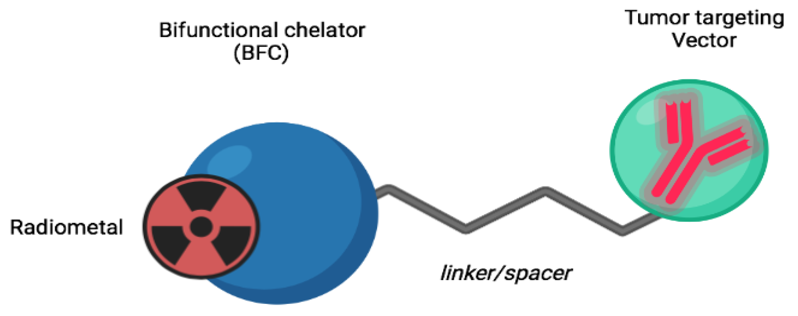 An Overview of In Vitro Assays of 64Cu-, 68Ga-, 125I-, and 99mTc ...