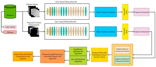 BC2NetRF: Breast Cancer Classification from Mammogram Images Using ...