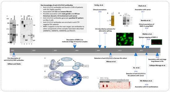 Anti-U11/U12 Antibodies as a Rare but Important Biomarker in Patients ...