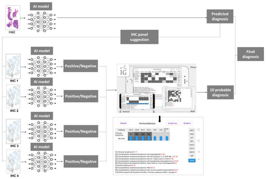 Validation of a Machine Learning Expert Supporting System, ImmunoGenius, Using ...