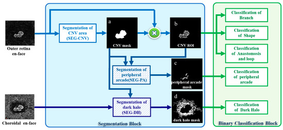 CNV-Net: Segmentation, Classification and Activity Score Measurement of ...