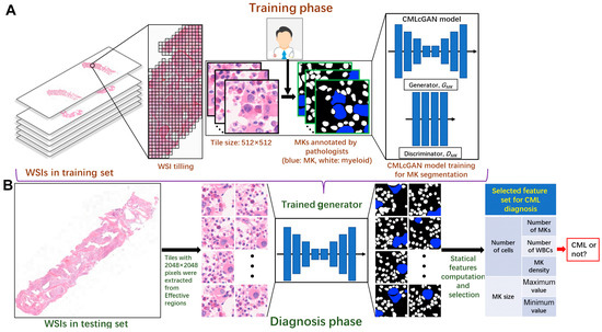 Applications of Machine Learning in Chronic Myeloid Leukemia