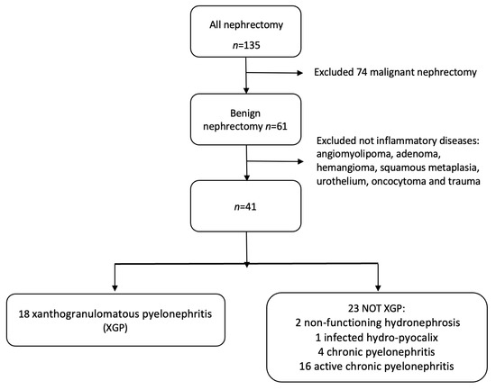 MDCT Diagnosis and Staging of Xanthogranulomatous Pyelonephritis