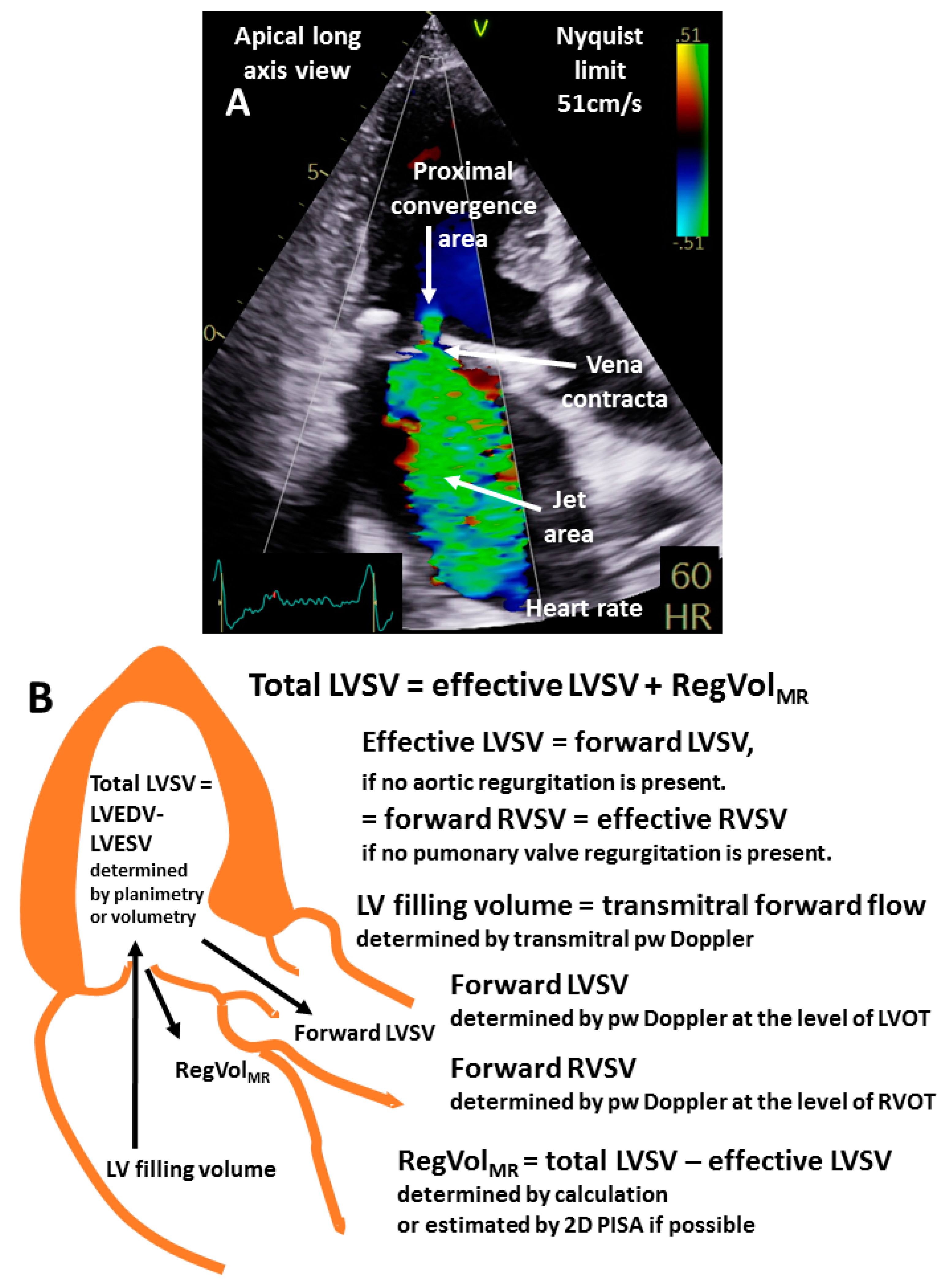 Diagnostics | Free Full-Text | Valid and Reproducible Quantitative ...