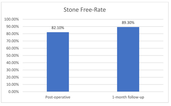 Single-Center Experience with Swiss LithoClast® Trilogy for Kidney Stones