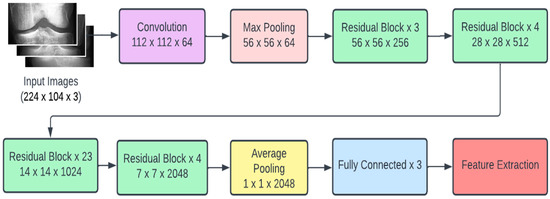 Knee Osteoarthritis Detection and Severity Classification Using ...