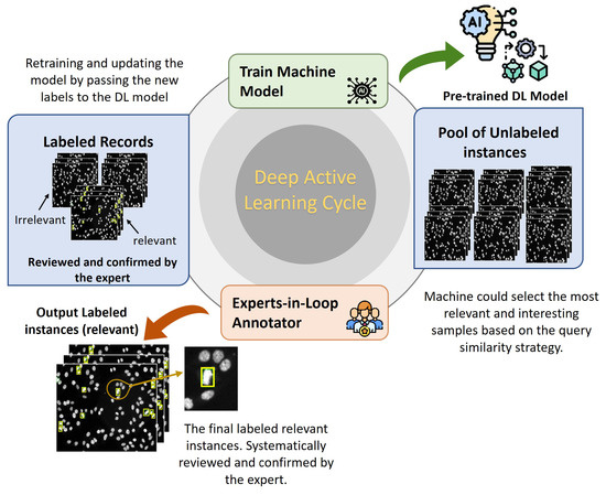 Deep Active Learning for Automatic Mitotic Cell Detection on HEp-2 ...