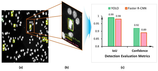 Deep Active Learning for Automatic Mitotic Cell Detection on HEp-2 ...