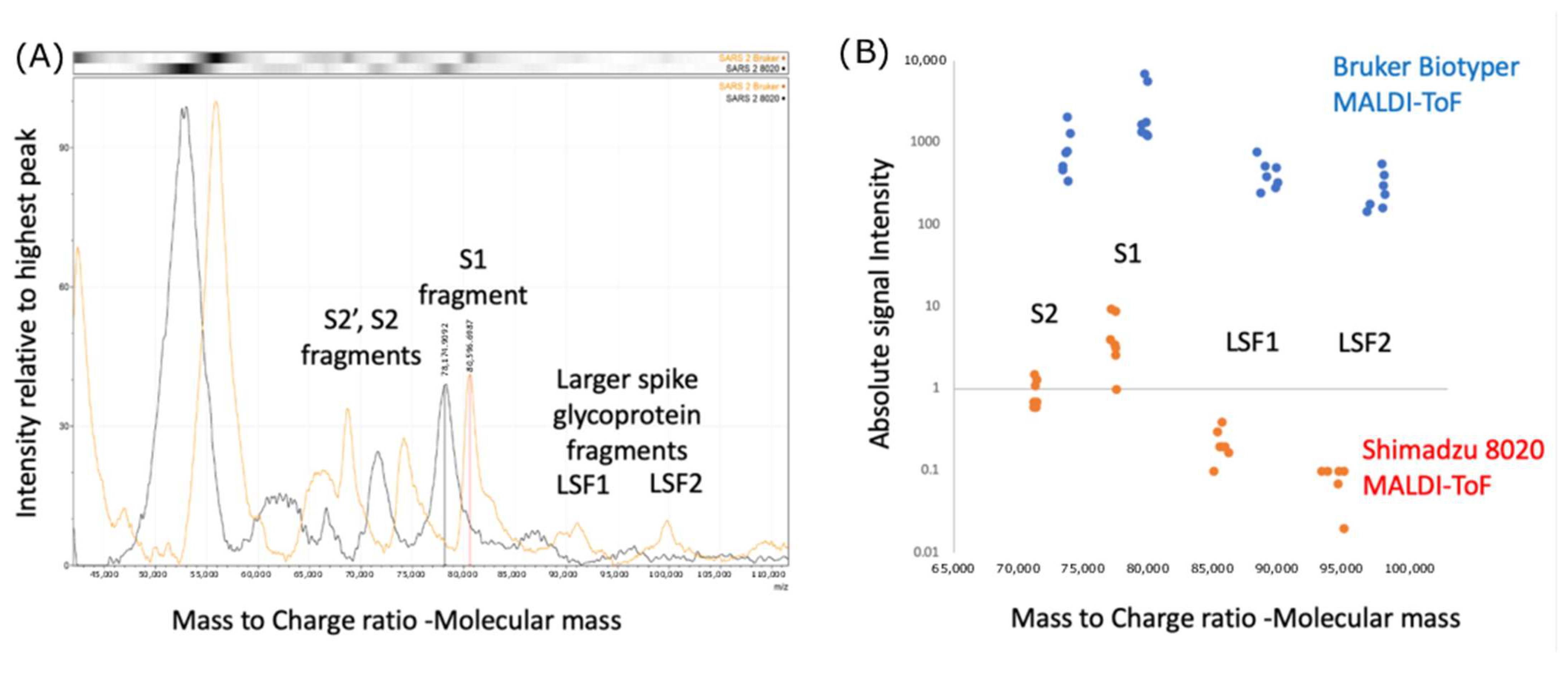Validation of a MALDI-TOF MS Method for SARS-CoV-2 Detection on the Bruker Biotyper and ...