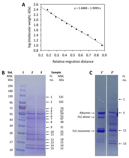 SDS Electrophoresis on Gradient Polyacrylamide Gels as a ...