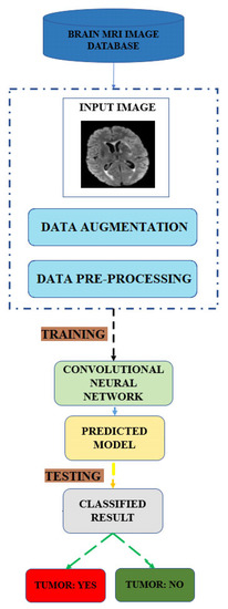 Diagnostics | Free Full-Text | Brain Tumor Segmentation Using Deep ...