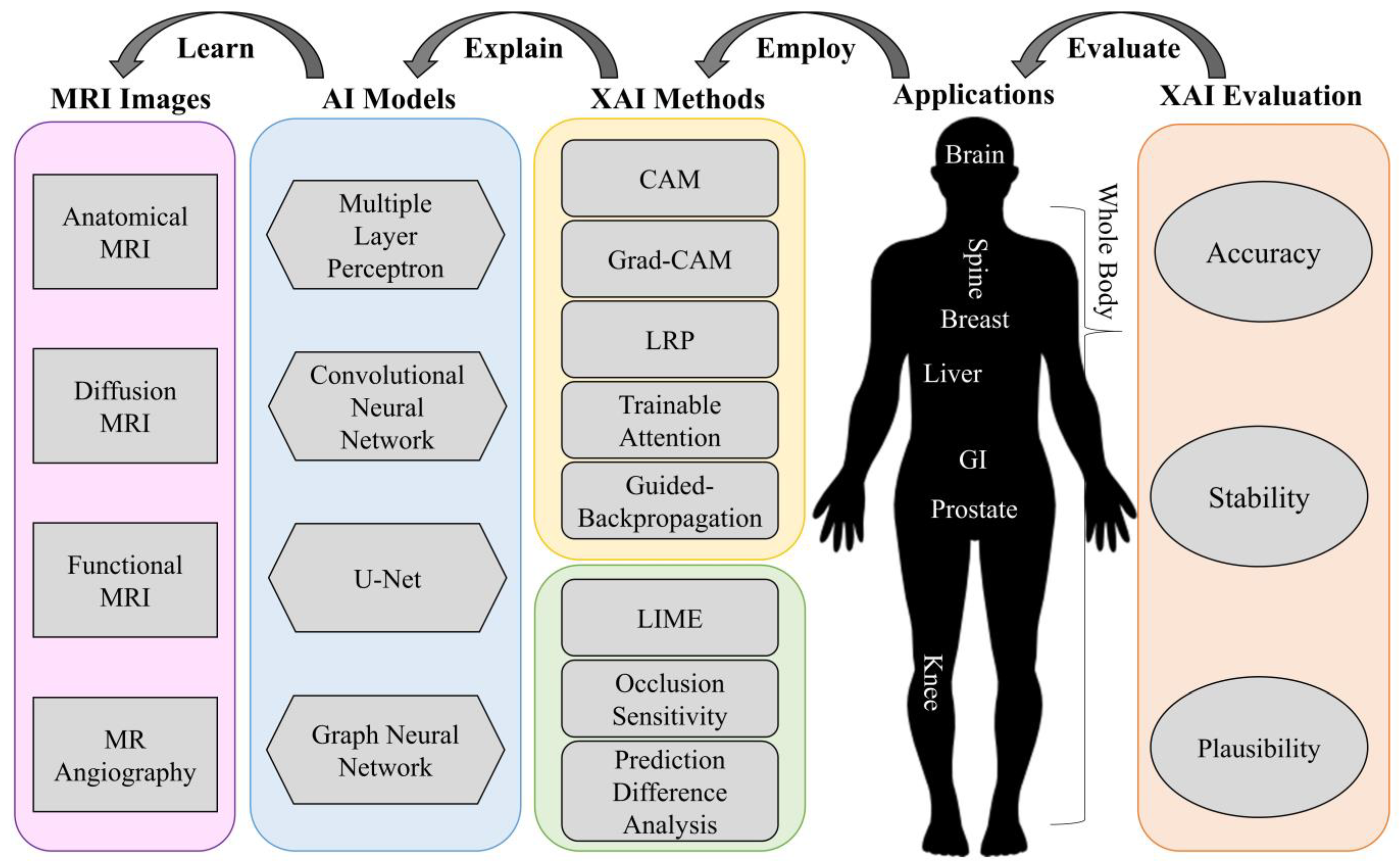 Diagnostics | Free Full-Text | Recent Advances in Explainable Artificial Intelligence for ...