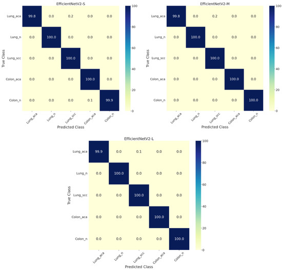 An Explainable Classification Method Based on Complex Scaling in ...