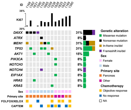 Targeted Genomic Profiling and Chemotherapy Outcomes in Grade 3 Gastro ...