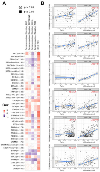 A Comprehensive Pan-Cancer Analysis Identifies CEP55 as a Potential ...