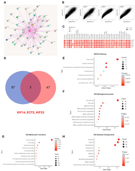 A Comprehensive Pan-Cancer Analysis Identifies CEP55 as a Potential ...
