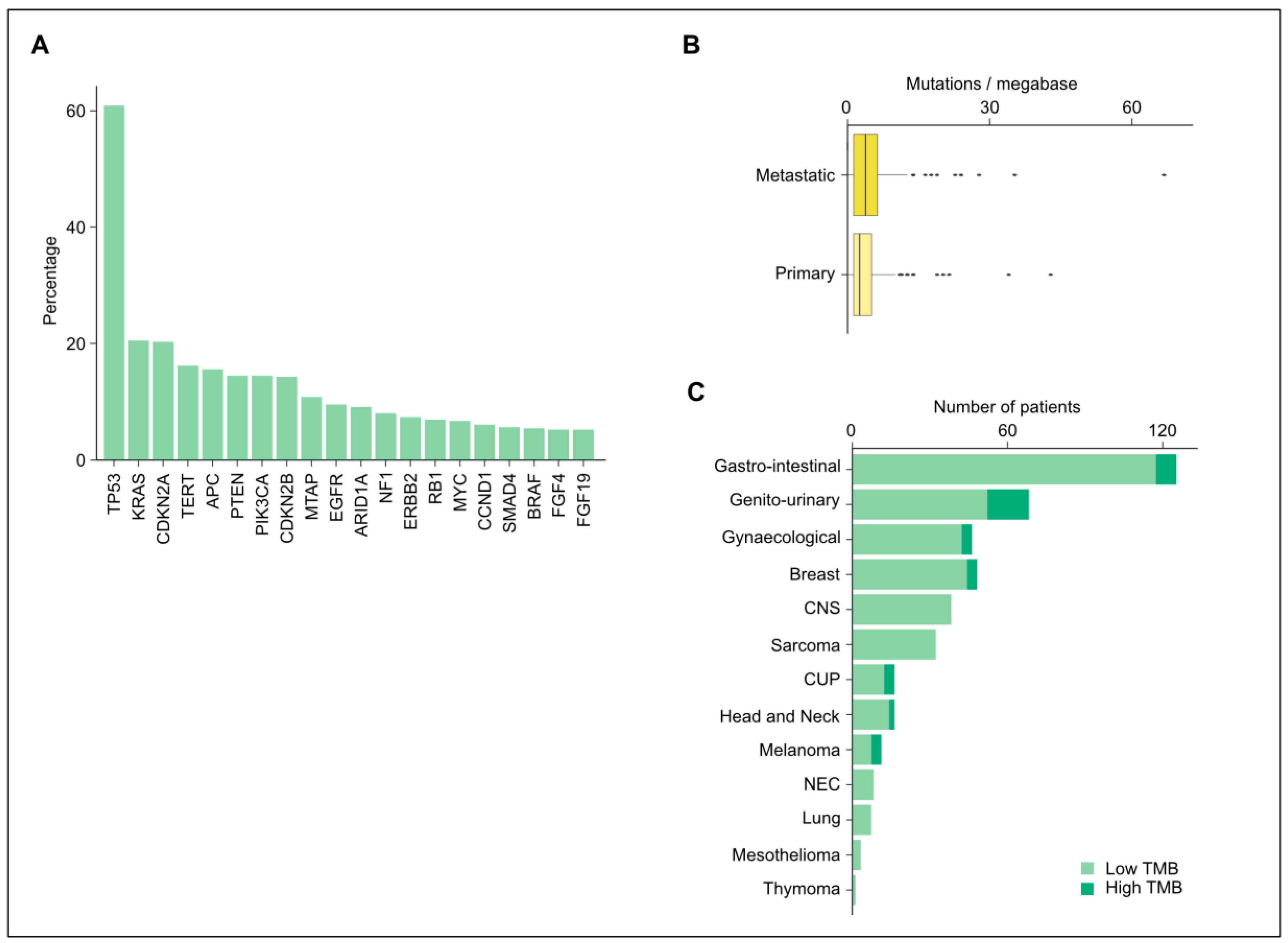 Comprehensive Genomic Profiling and Therapeutic Implications for Patients with Advanced Cancers ...