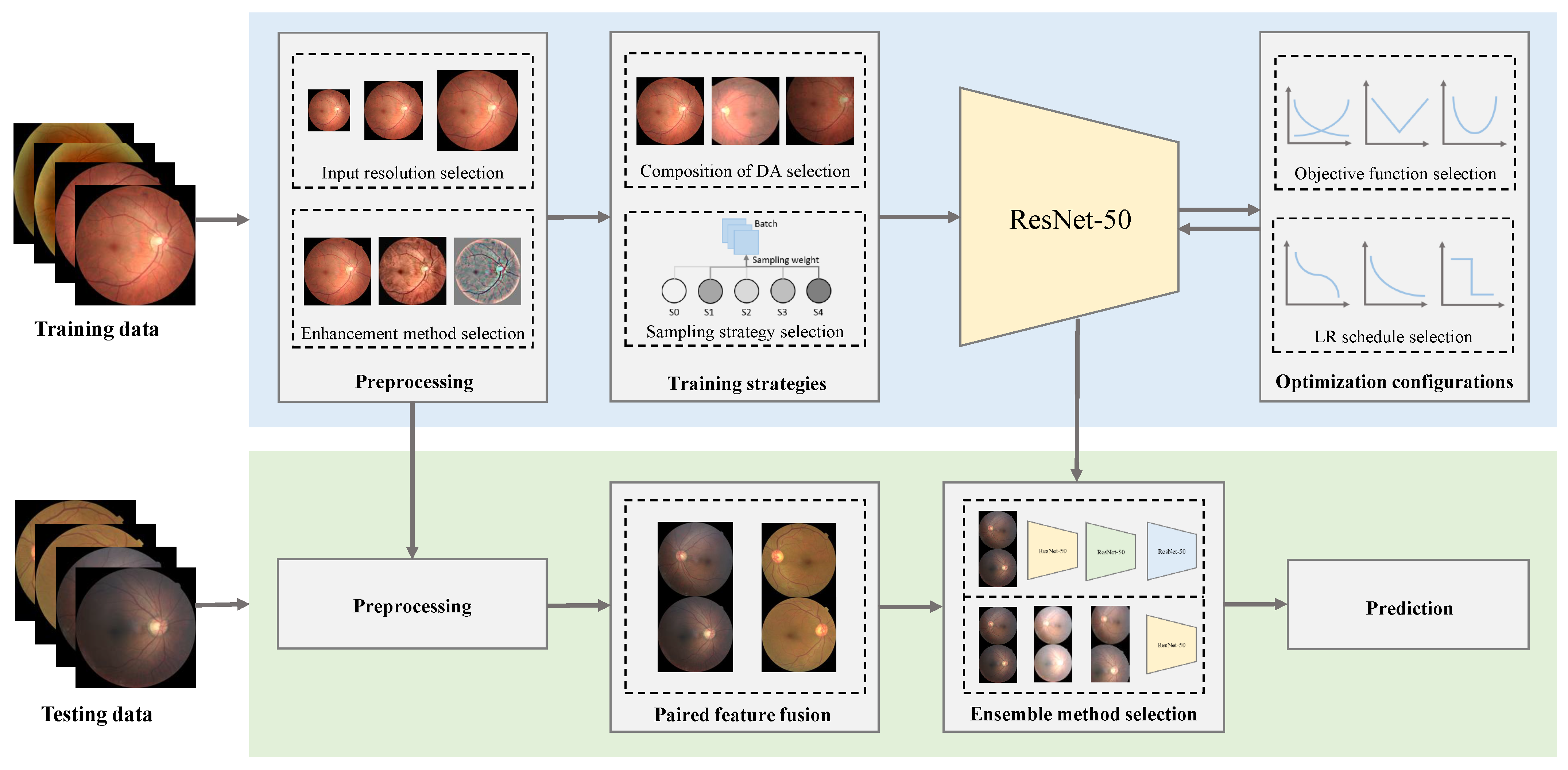 Diagnostics | Free Full-Text | Identifying the Key Components in ResNet ...