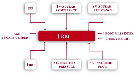 Current Insights into the Significance of the Renal Resistive Index in ...