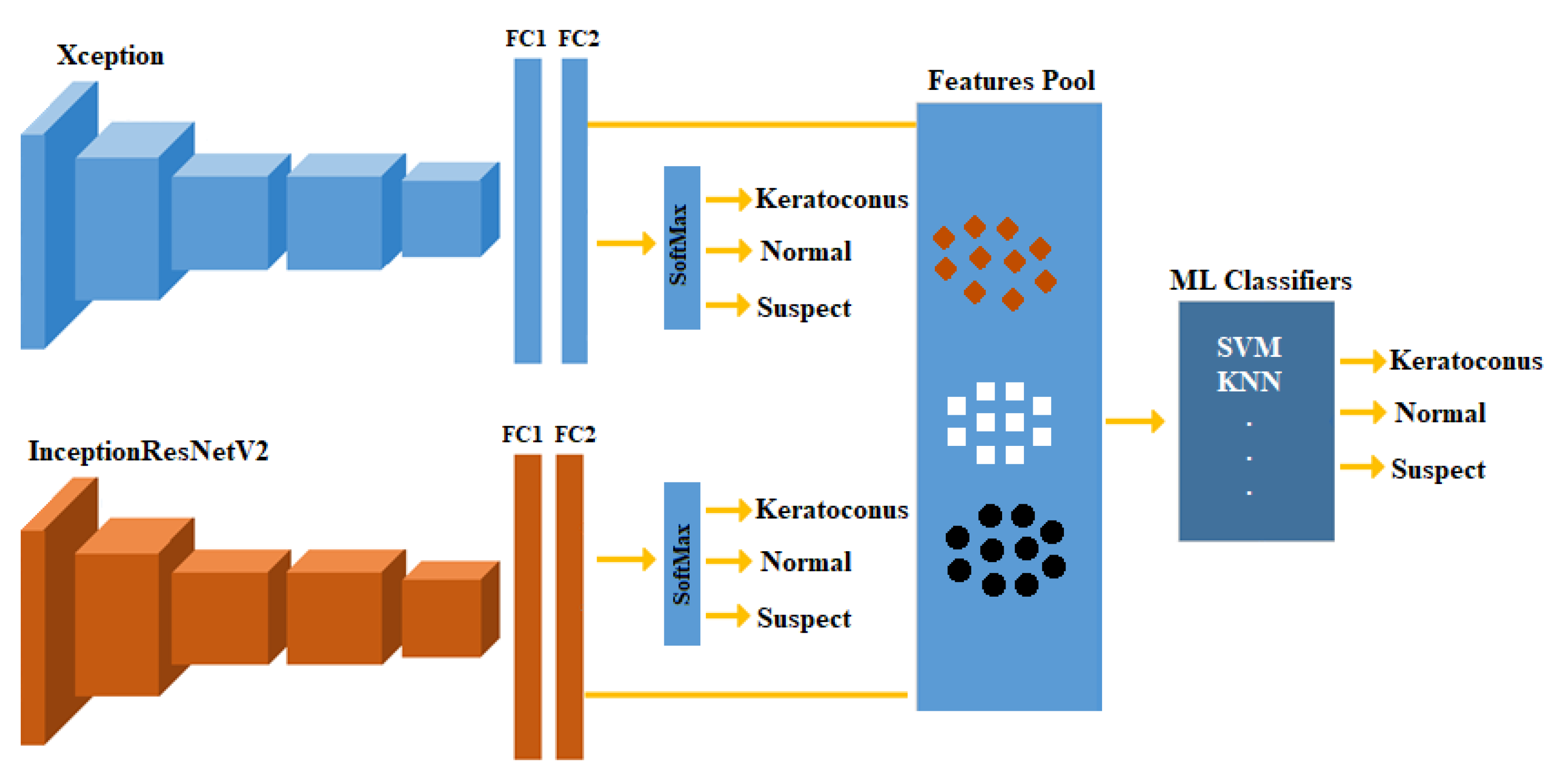 A Deep Feature Fusion Of Improved Suspected Keratoconus Detection With Deep Learning
