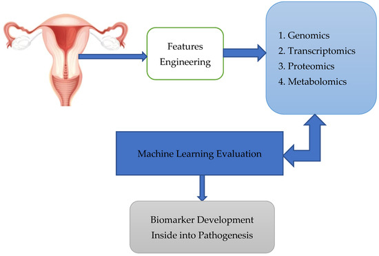 A Deep Learning Framework for the Prediction and Diagnosis of Ovarian ...