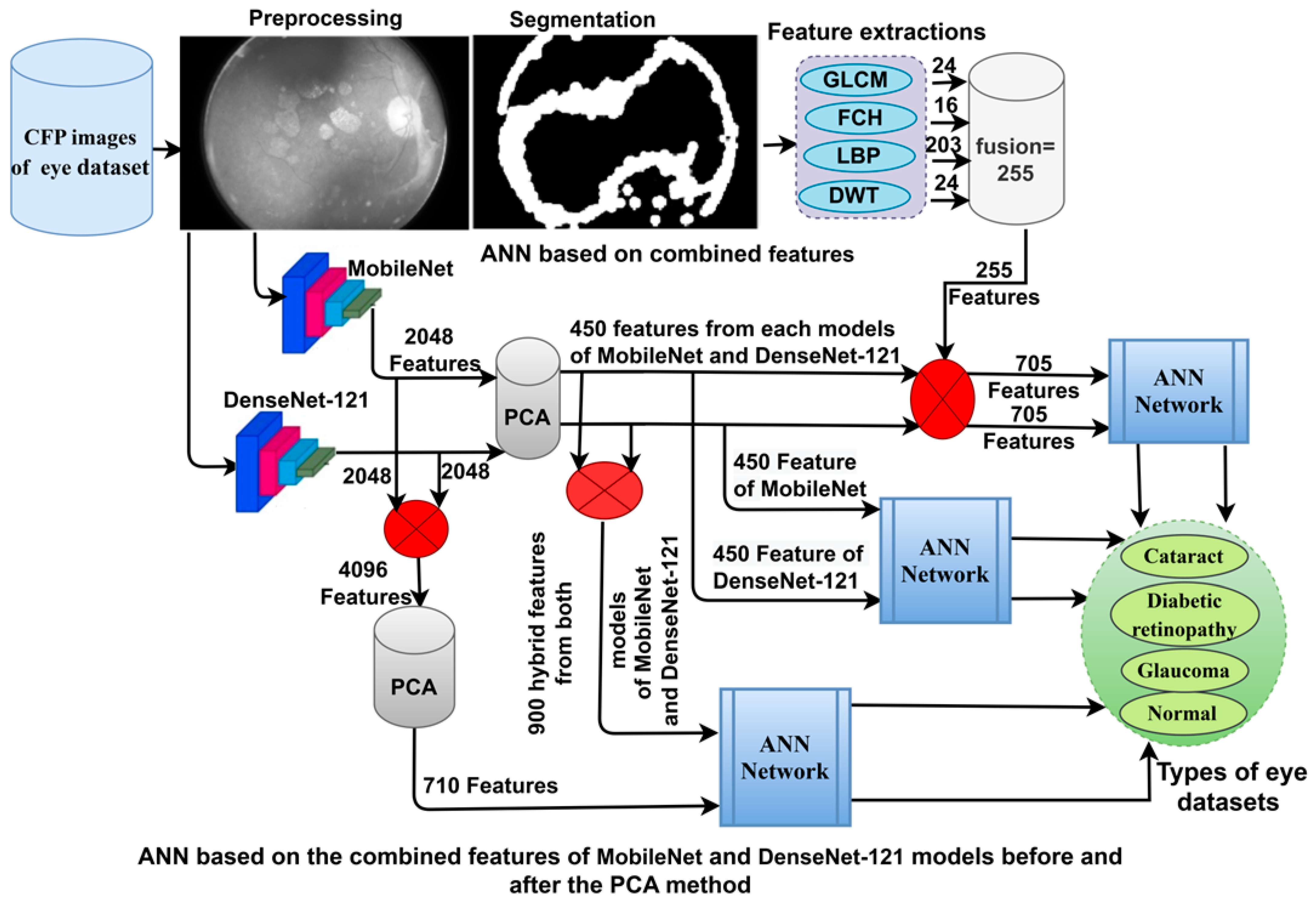 Diagnostics | Free Full-Text | Automatic Classification of Colour ... Diagnostics | Free Full-Text | Automatic Classification of Colour ...