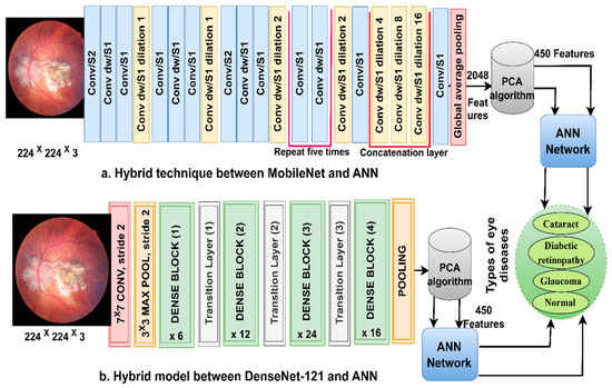 Diagnostics Free Full Text Automatic Classification Of Colour