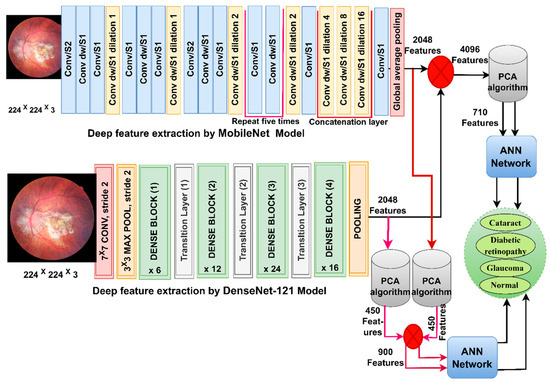 Automatic Classification of Colour Fundus Images for Prediction Eye ...