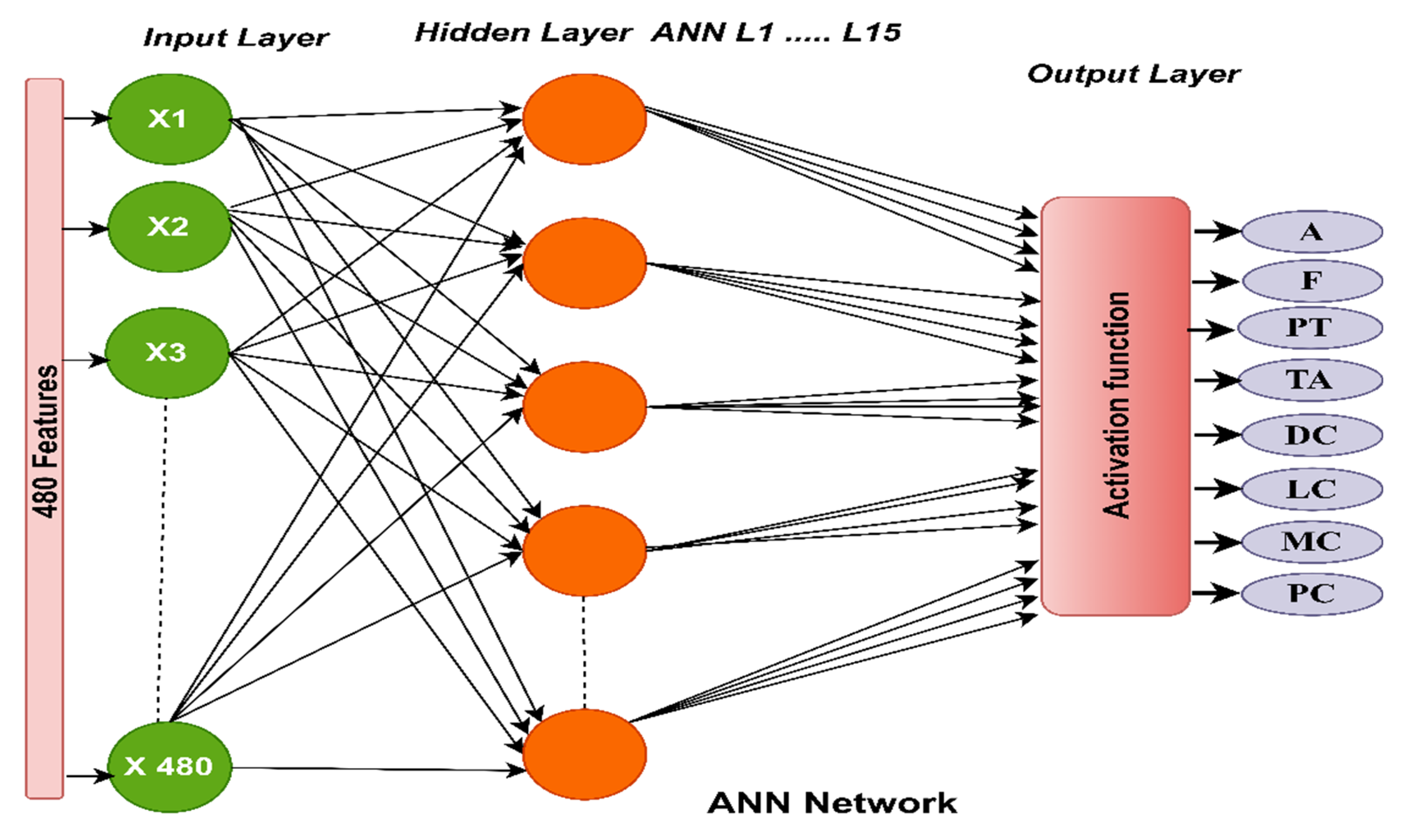 Diagnostics | Free Full-Text | Analyzing Histological Images Using Hybrid Techniques for Early ...