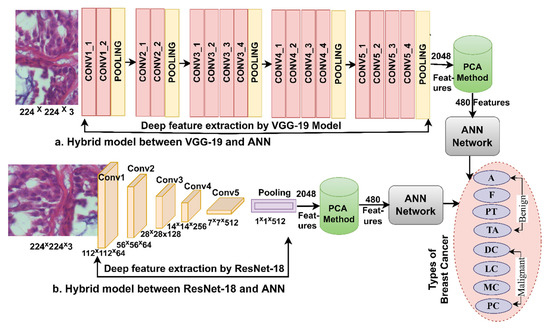 Diagnostics | Free Full-Text | Analyzing Histological Images Using Hybrid Techniques for Early ...
