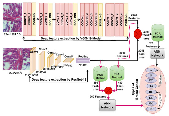 Diagnostics | Free Full-Text | Analyzing Histological Images Using Hybrid Techniques for Early ...