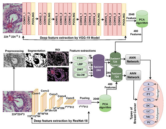 Diagnostics | Free Full-Text | Analyzing Histological Images Using Hybrid Techniques for Early ...