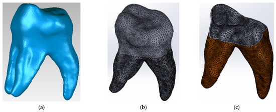 Analysis of Temperatures Generated during Conventional Laser ...